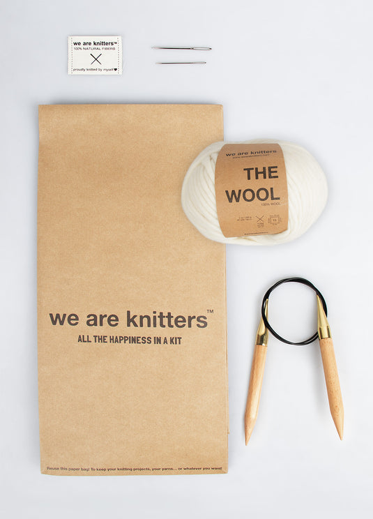 Beginner Knitting Kits – We Are Knitters