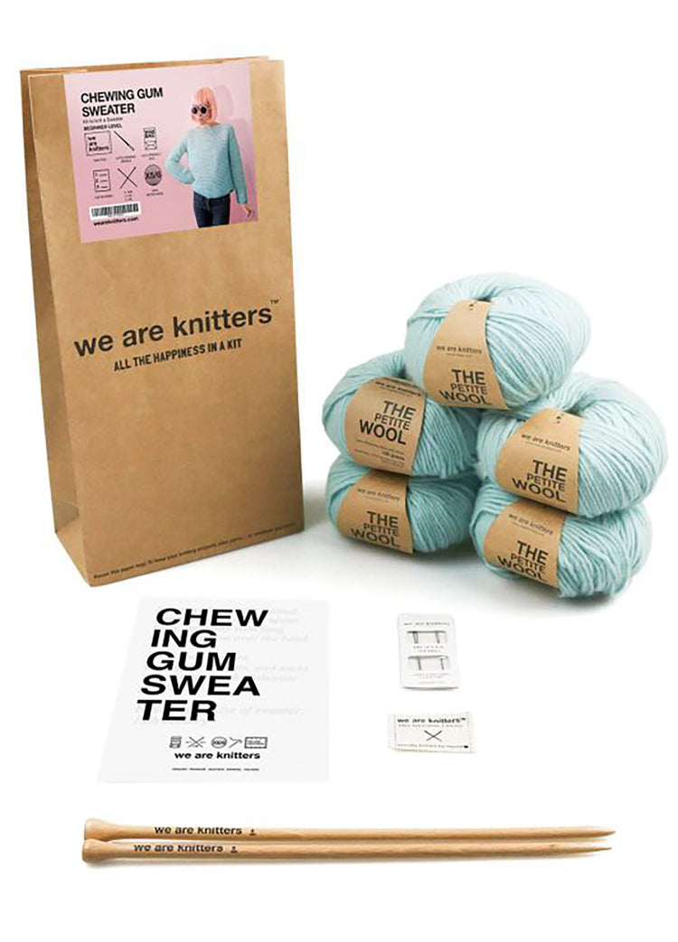 Beginner Knitting Kits – We Are Knitters
