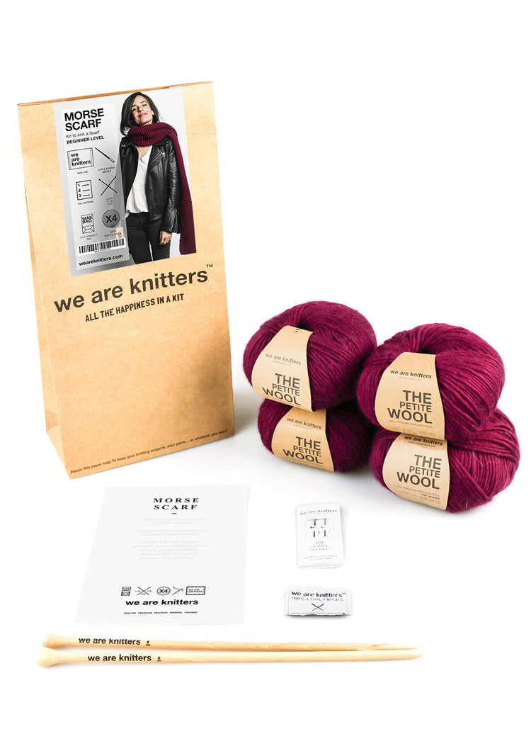 Beginner Knitting Kits – We Are Knitters